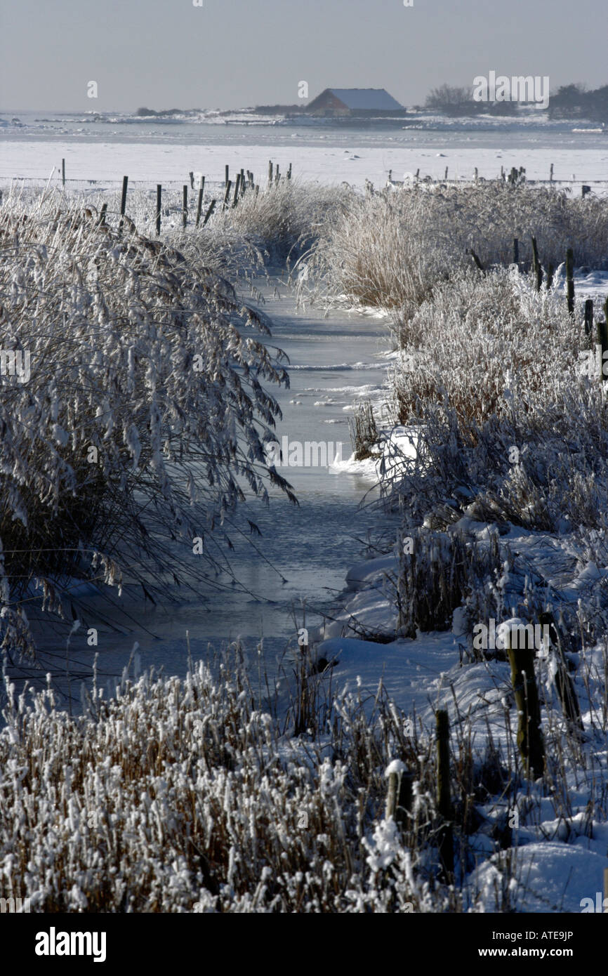 Reeds bays hi-res stock photography and images - Alamy