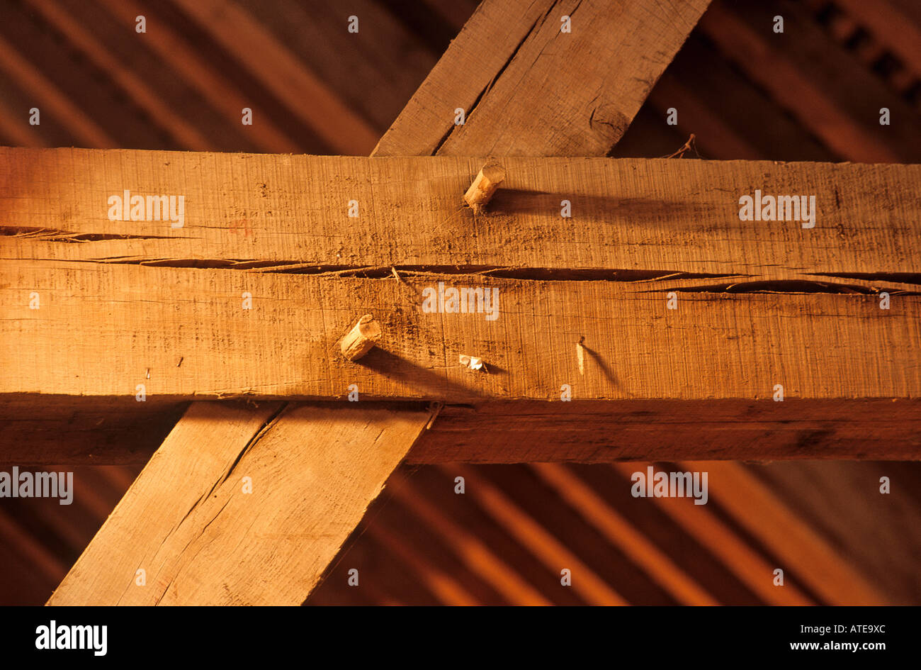 Detail of the large wooden crossbeams that are a mark of the Market ...