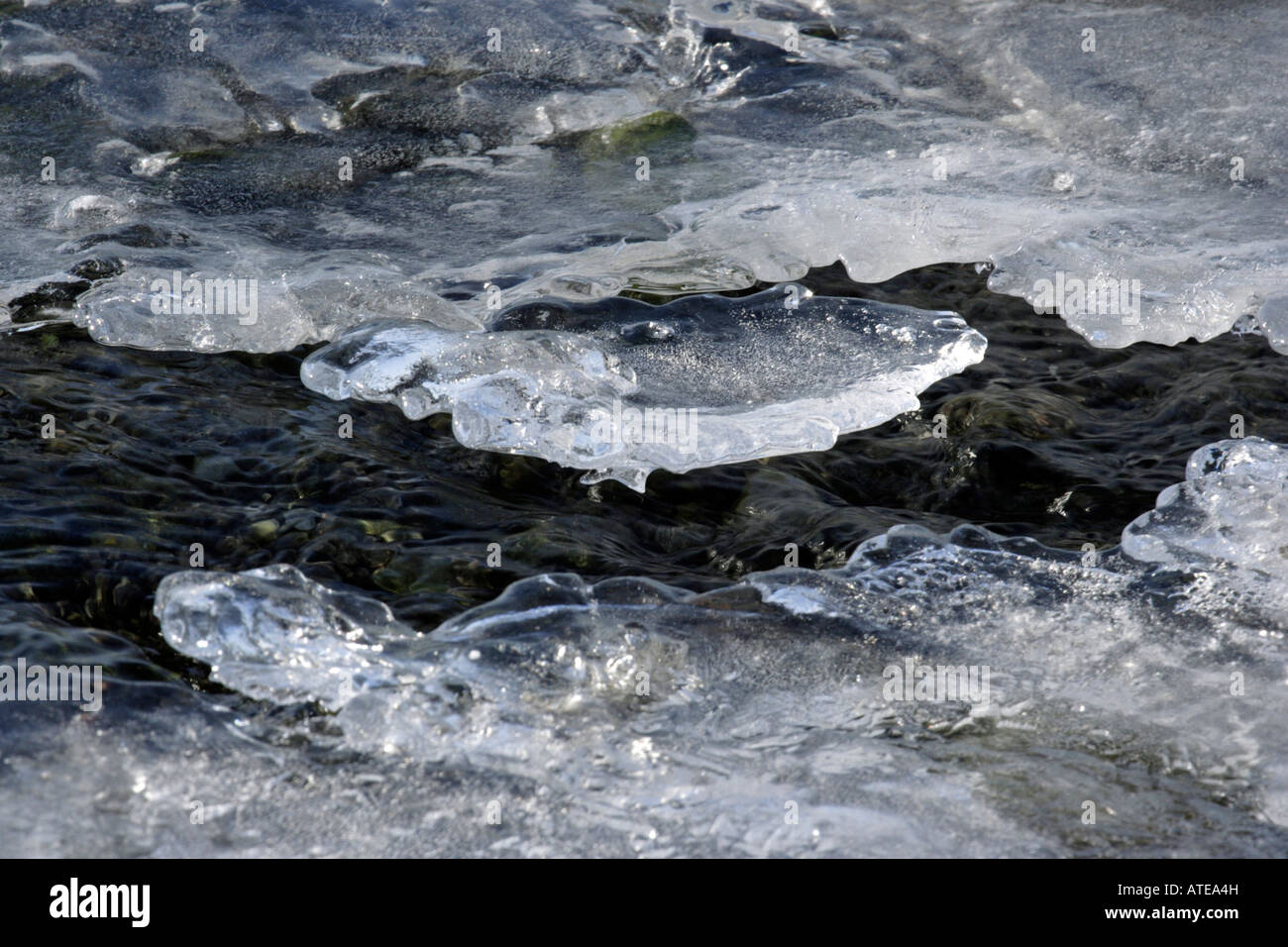 Ice formations in a brook Stock Photo - Alamy