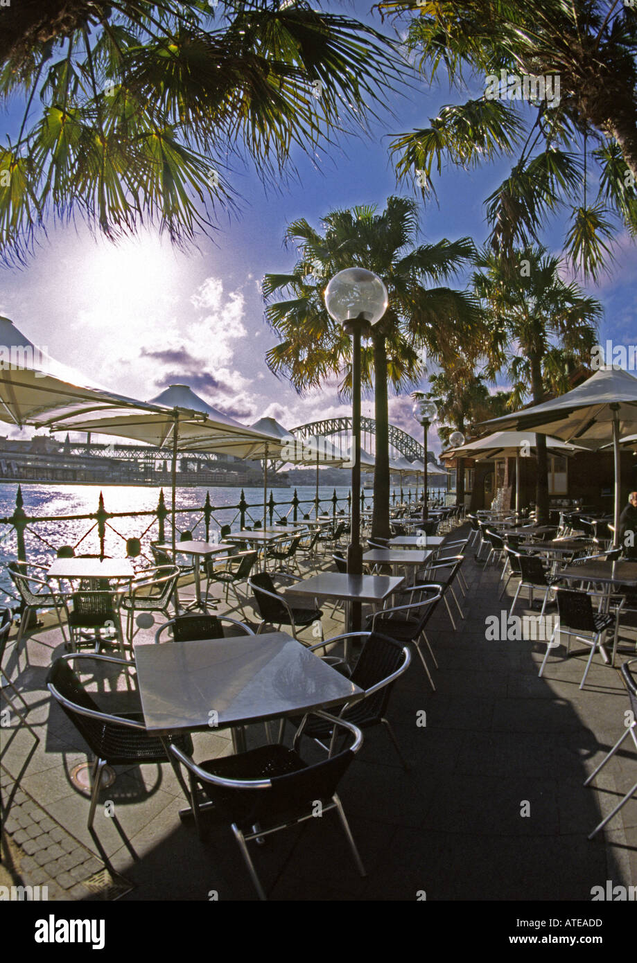 Harbourside cafe in late afternoon Autumn sunshine Sydney Australia ...
