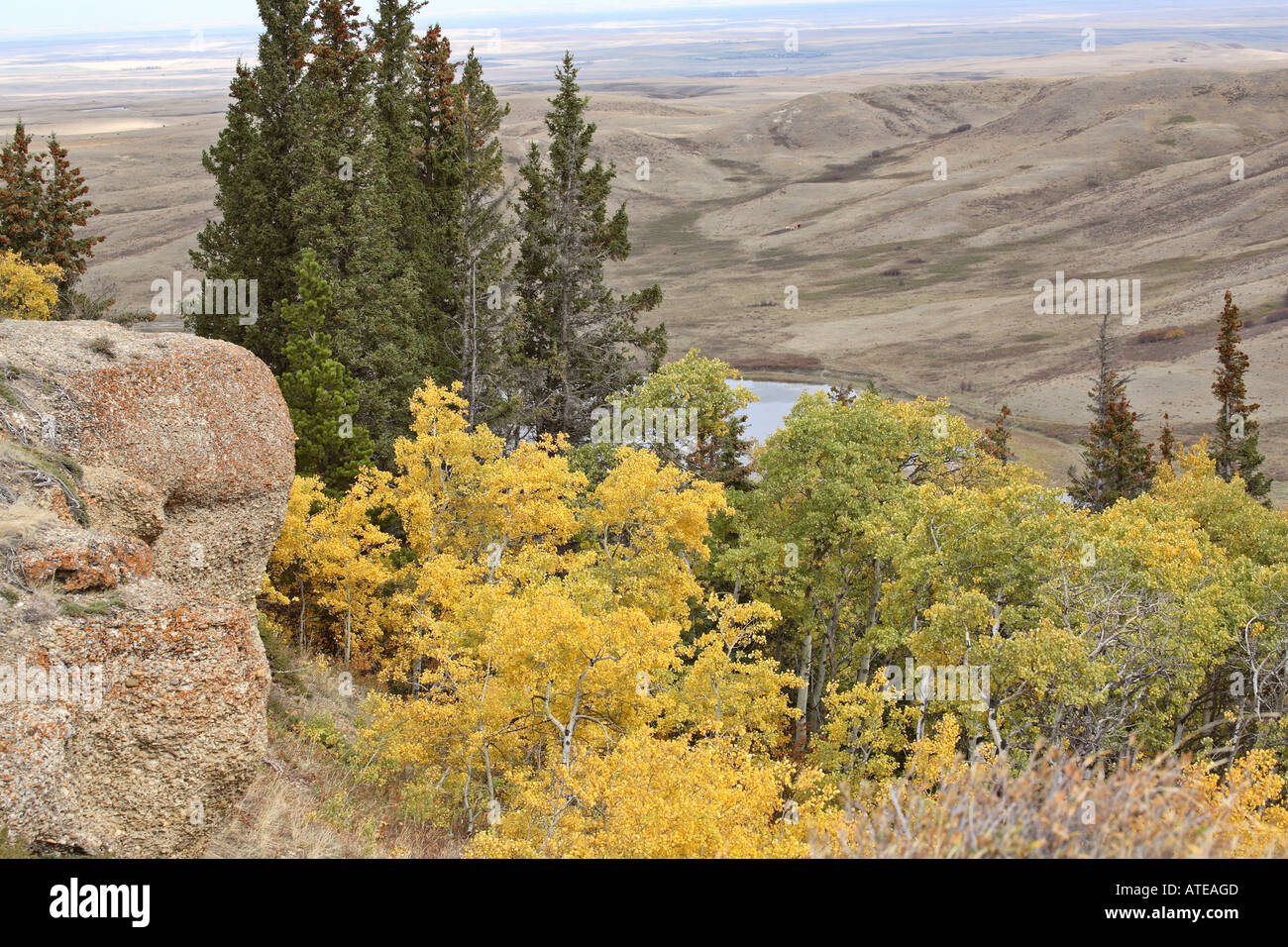 Conglomerate cliffs canada hi-res stock photography and images - Alamy