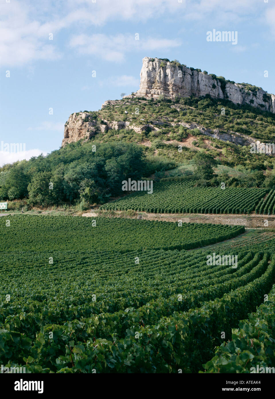 Looming over the surrounding vineyards the limestone escarpment of the ...