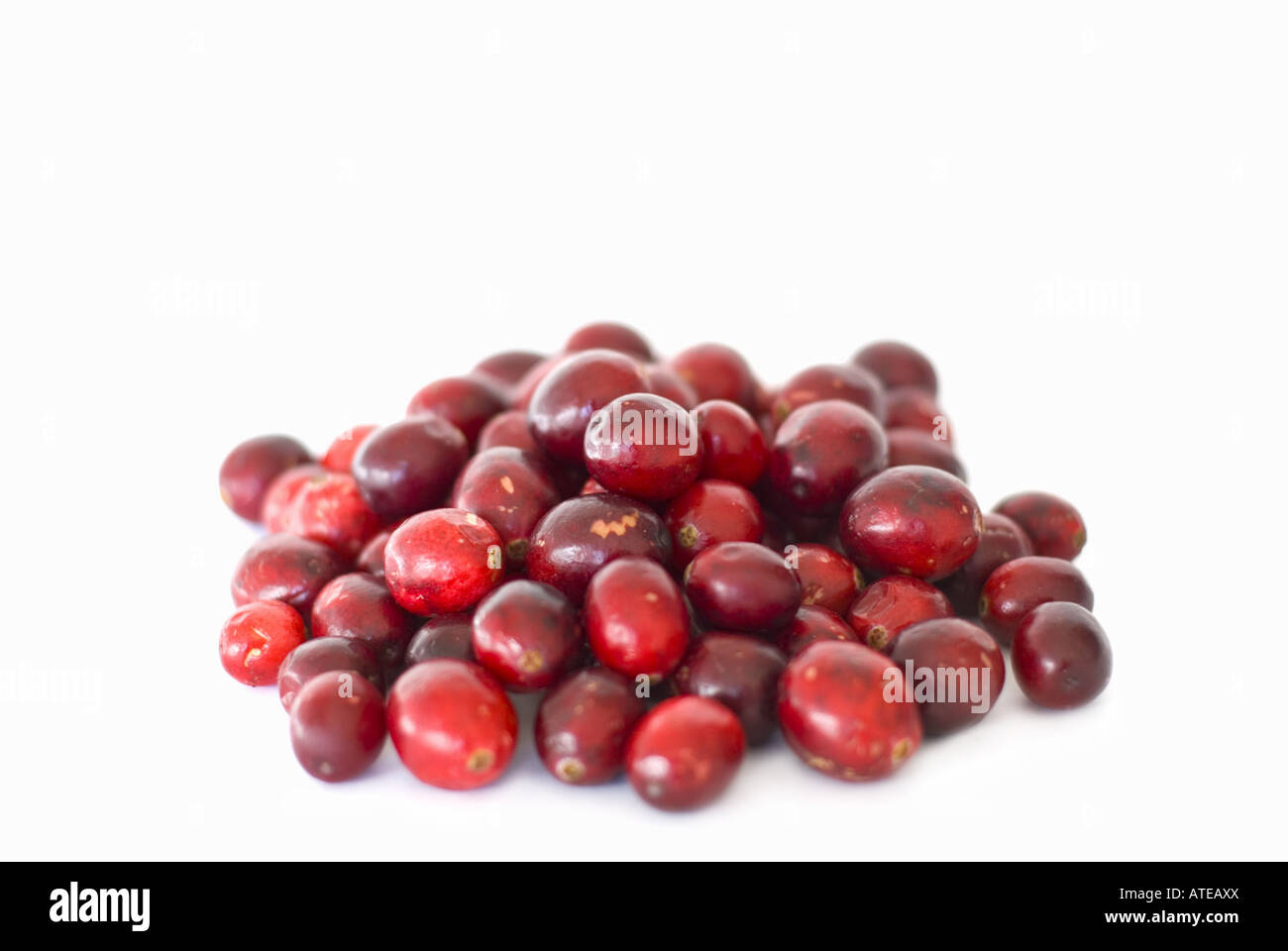 Fresh red cranberries isolated Stock Photo - Alamy