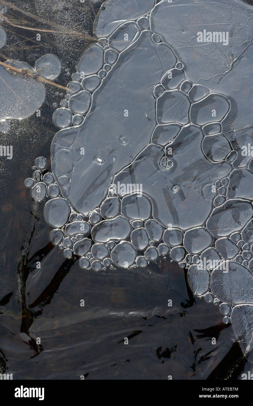 Ice formations in a brook Stock Photo - Alamy