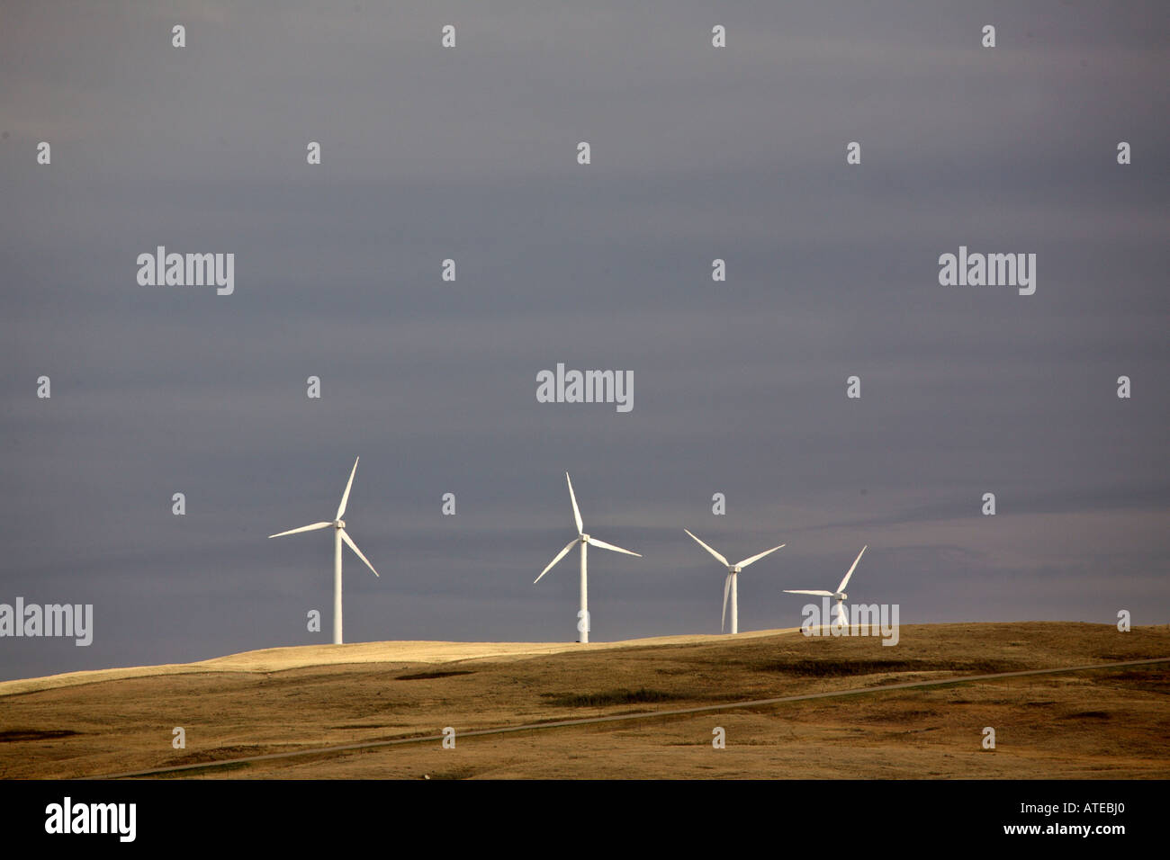 Windmill electricity generators in Saskatchewan Canada Stock Photo - Alamy