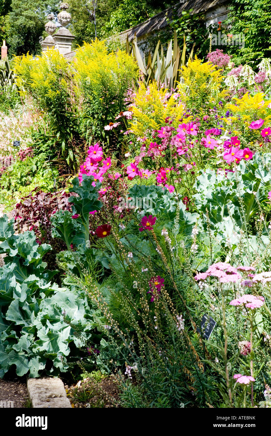 Mixed border hi-res stock photography and images - Alamy