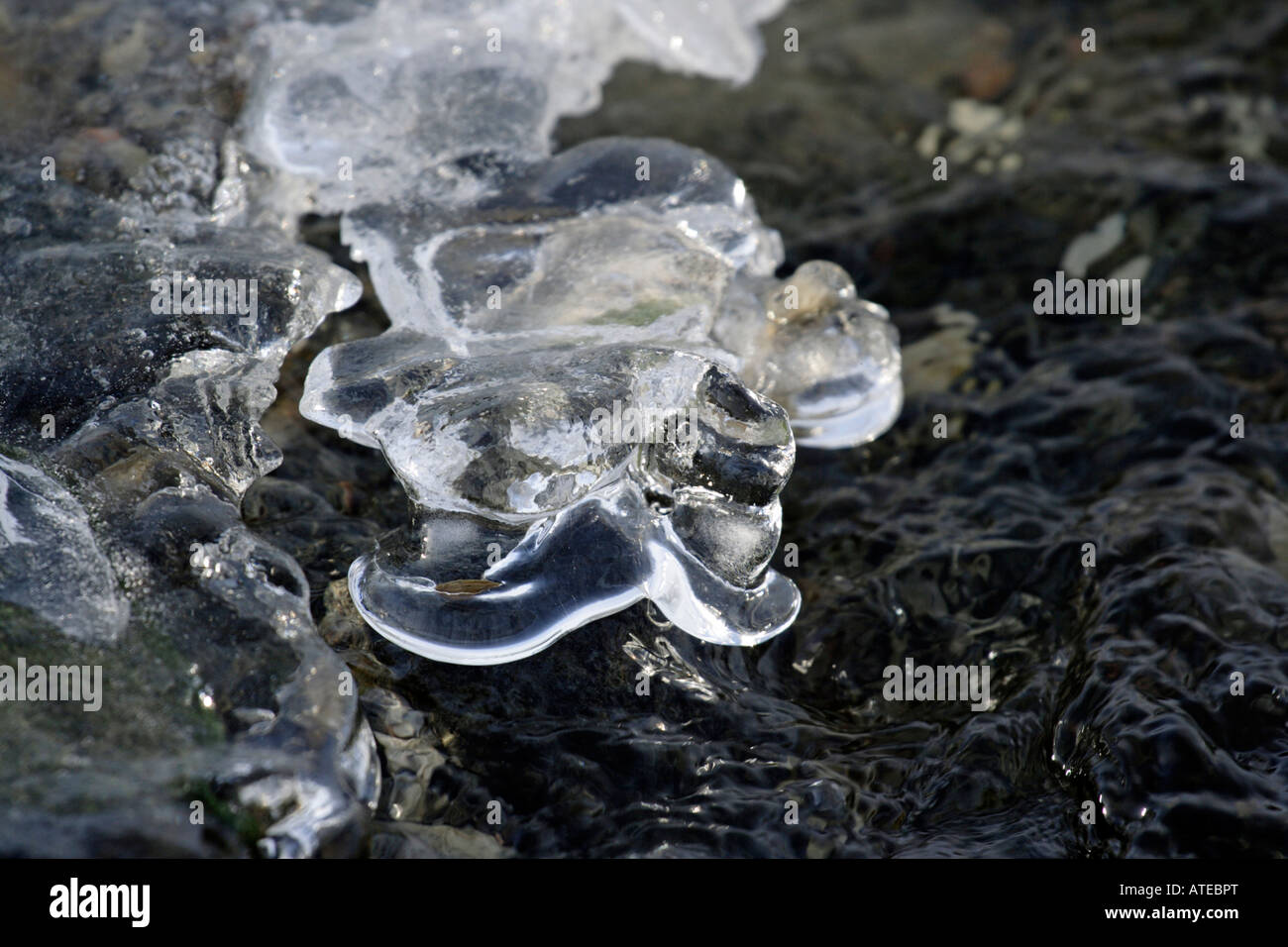Ice formations in a brook Stock Photo - Alamy
