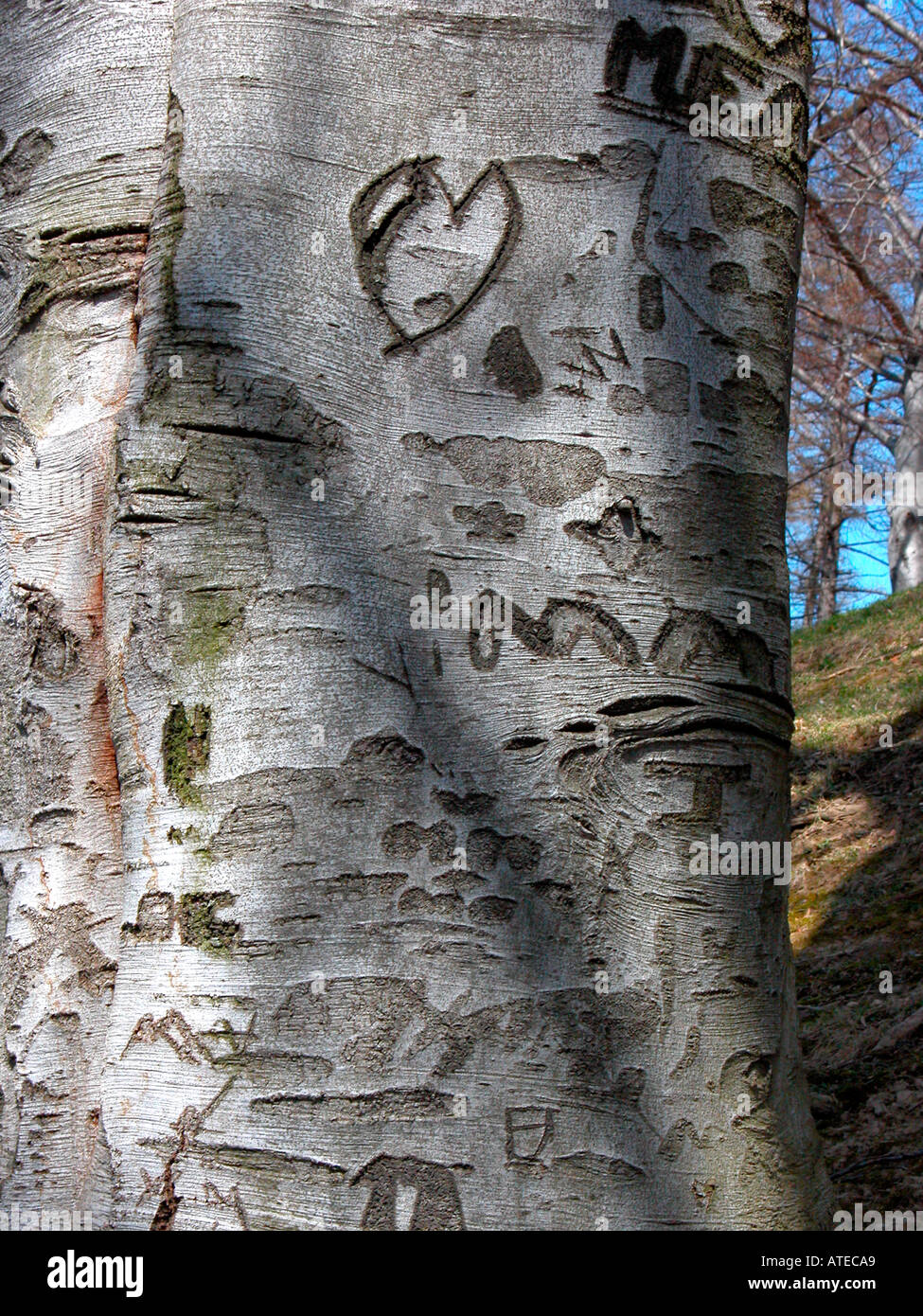 Romantic inscriptions hi-res stock photography and images - Alamy