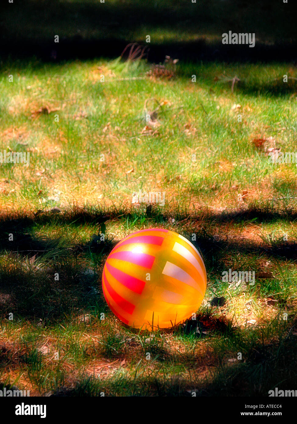 Lonely ball sitting on lawn Stock Photo - Alamy