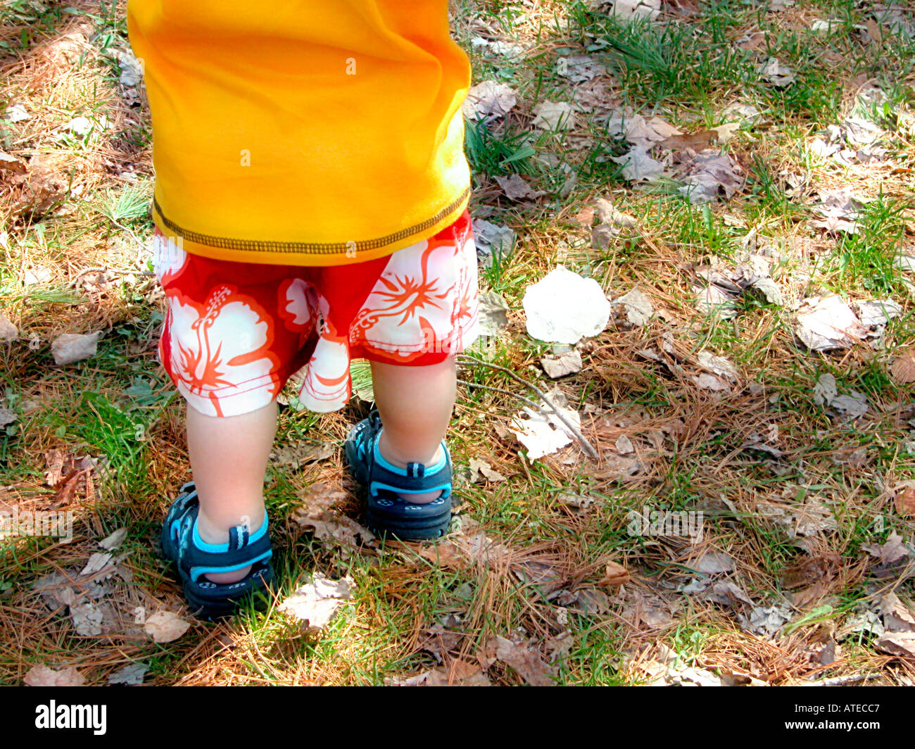 Portrait of Childs legs Stock Photo - Alamy
