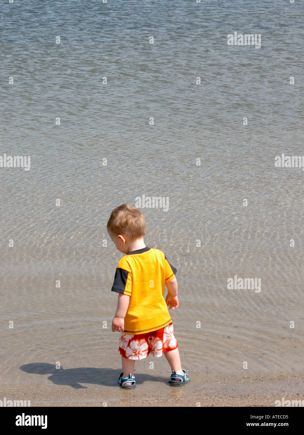 Vertical image of a carefree young boy from above and behind standing ...