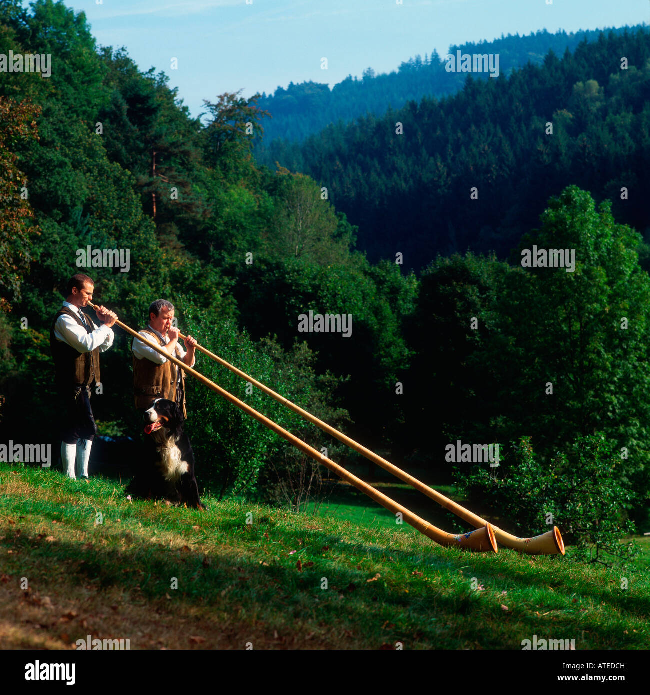 Alphorn and bavaria hi-res stock photography and images - Alamy