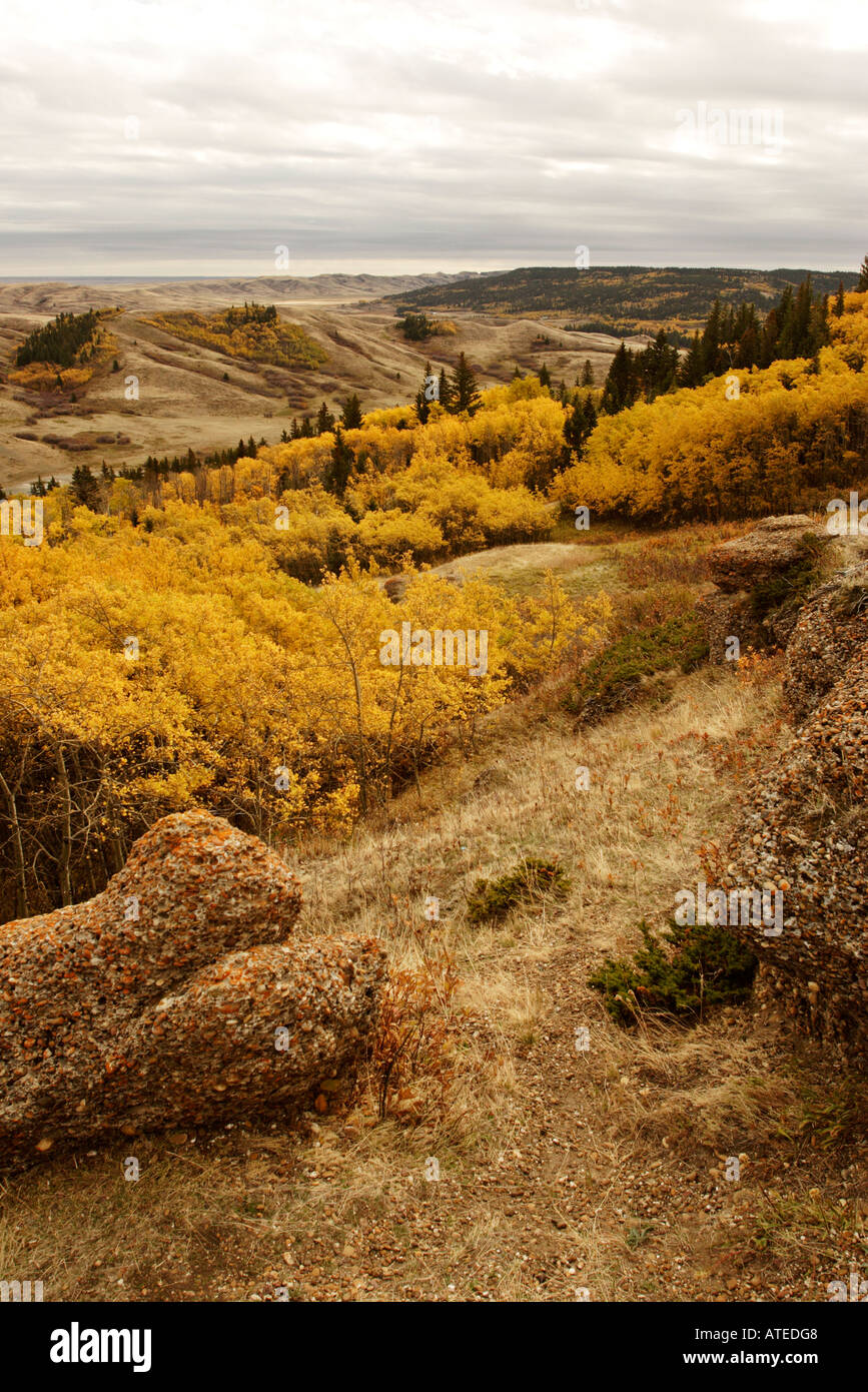 Scenic view from Conglomerate Cliffs in Cypress Hills Park in ...