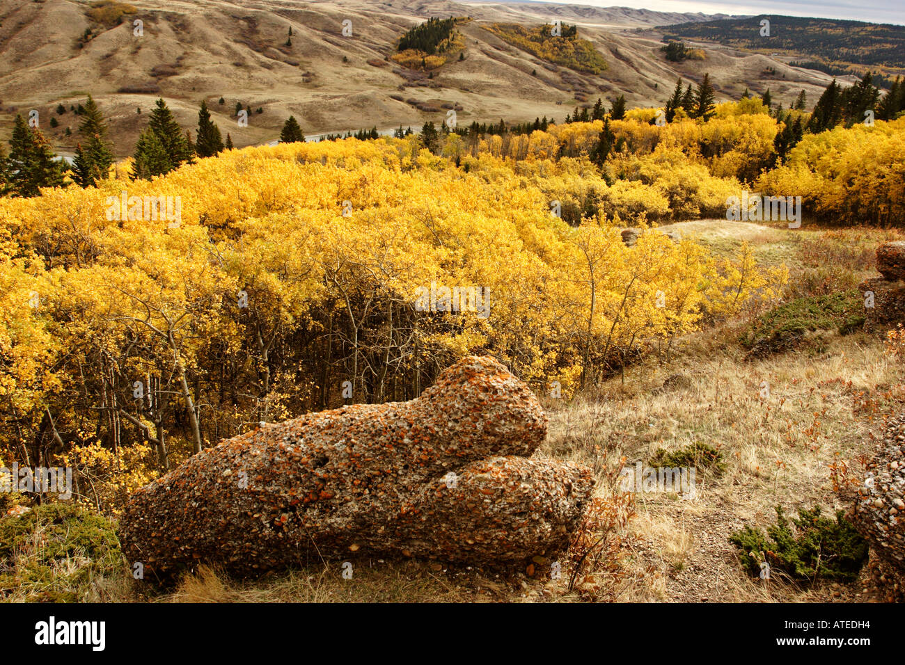 Conglomerate cliffs canada hi-res stock photography and images - Alamy