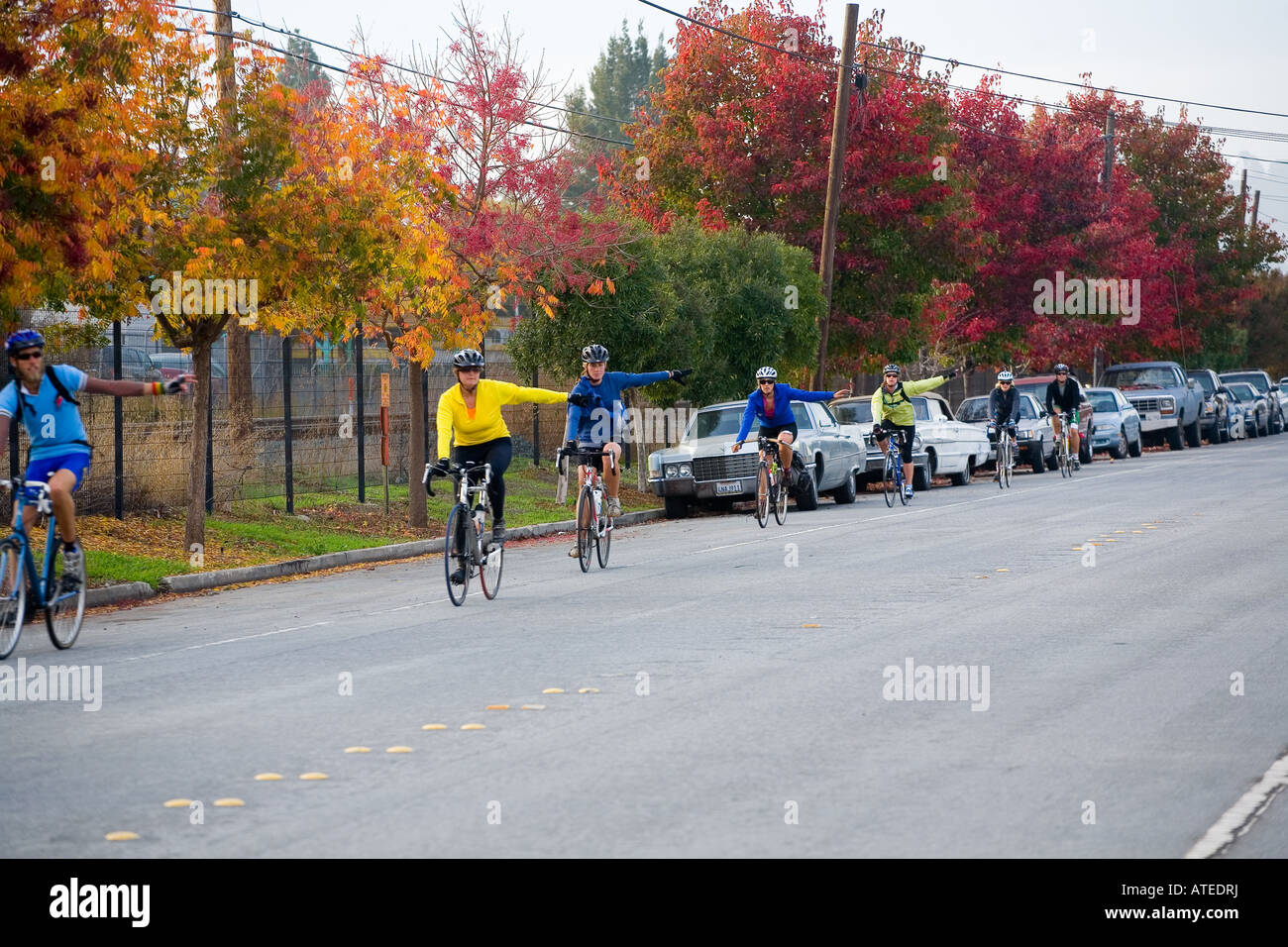 cyclists signal left turn Stock Photo - Alamy