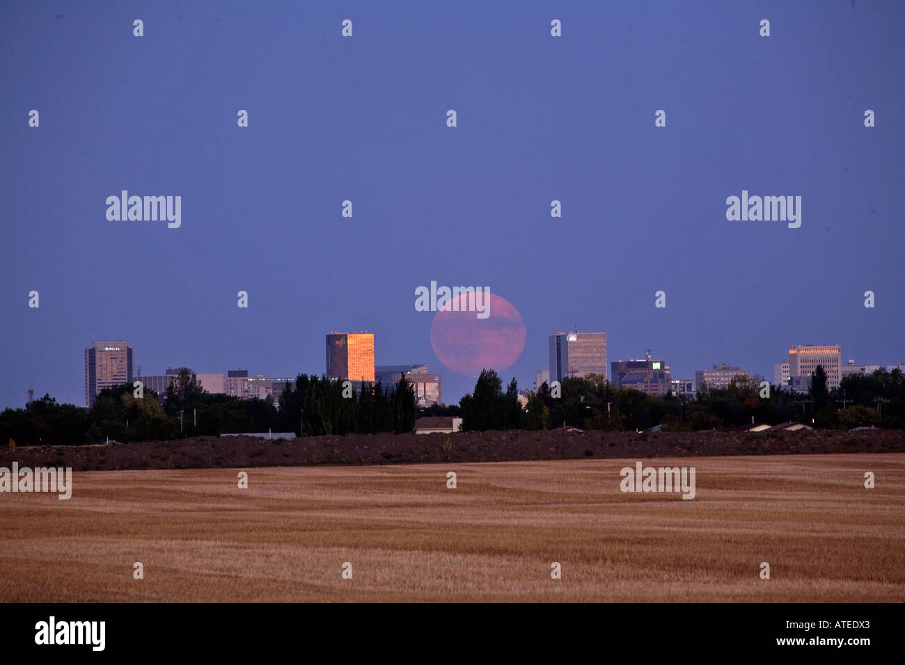 Canada Saskatchewan Regina City Skyline High Resolution Stock ...