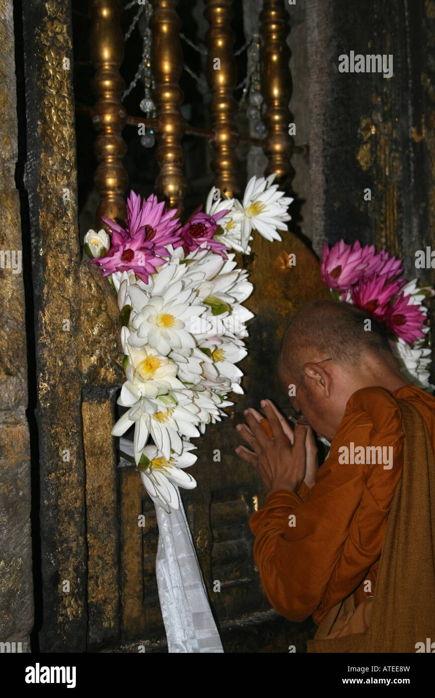 Monk gives homage at Vajrasan ( the diamond seat ) , Bodhi Tree ...