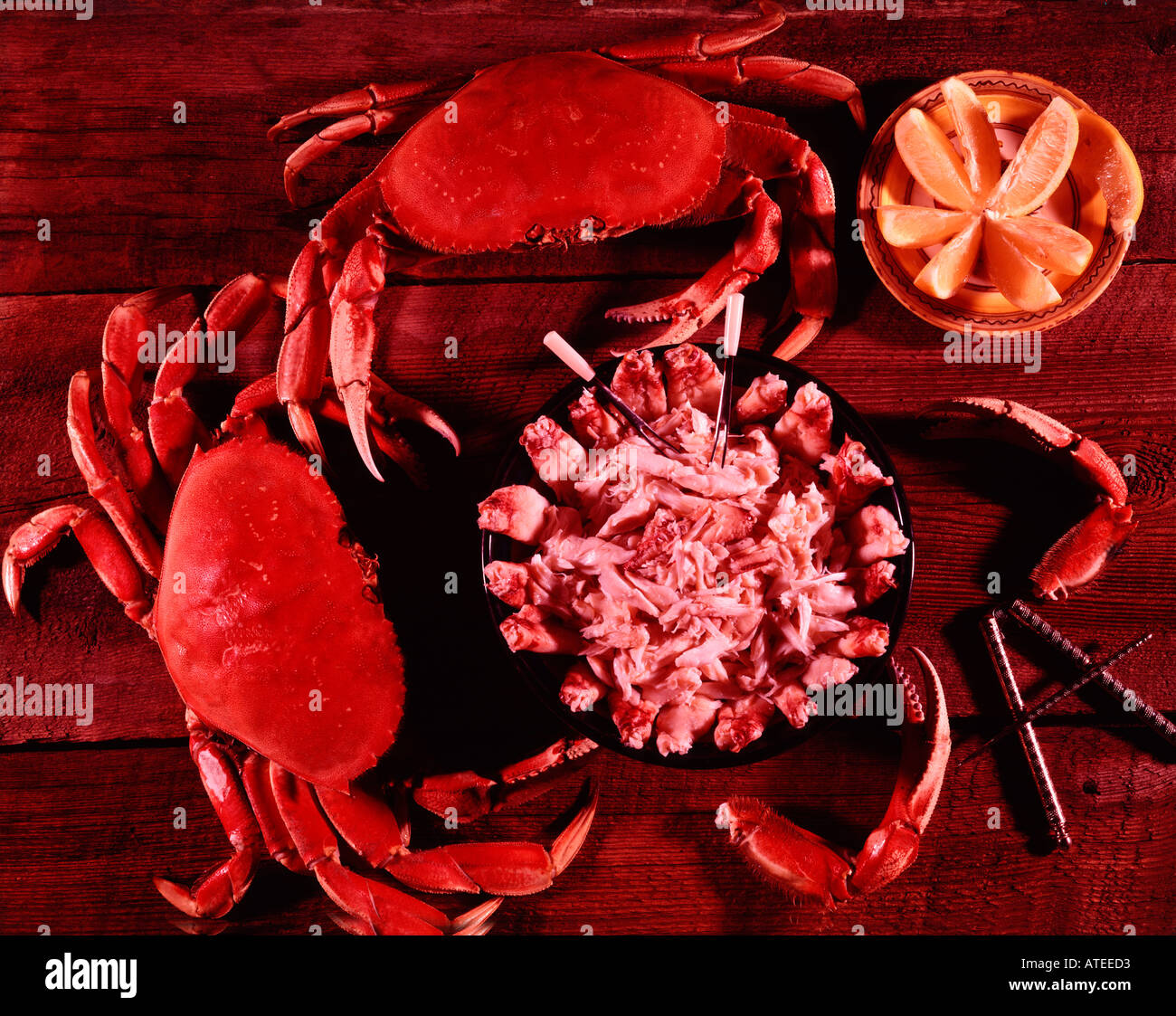 Dungeness crabs are a Pacific Ocean delicacy which color red after ...