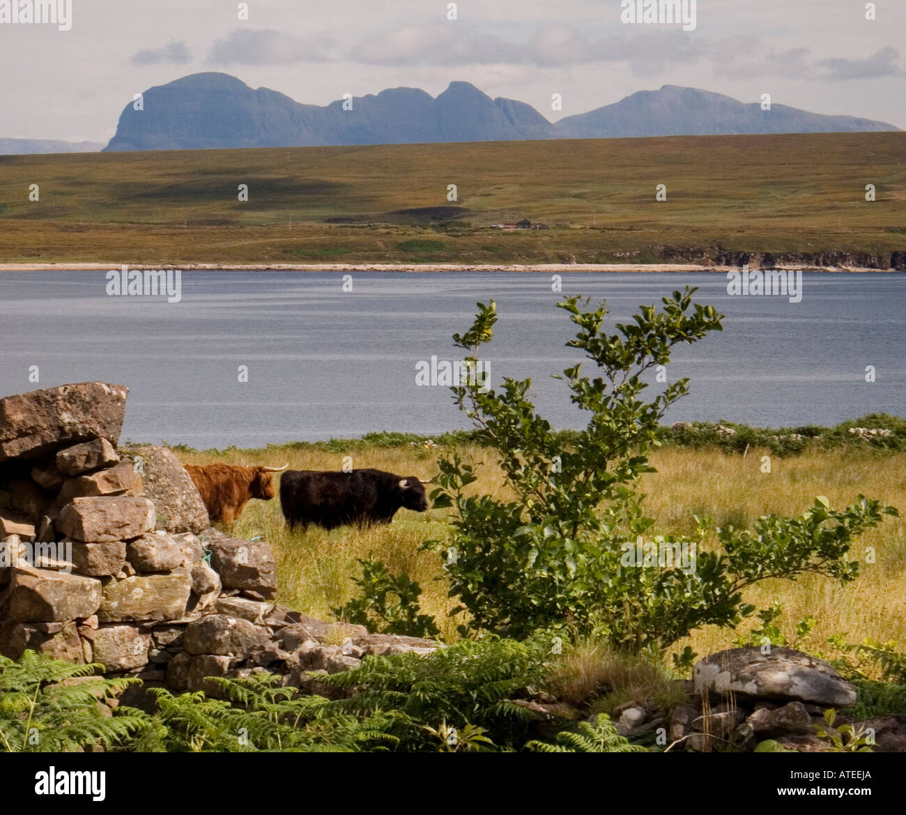 Tanera mhor hi-res stock photography and images - Alamy