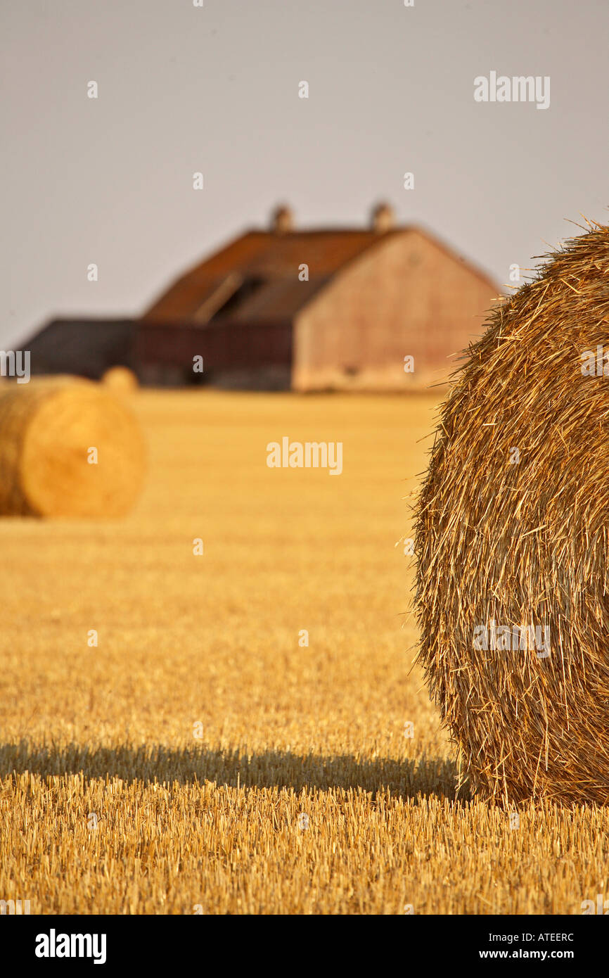 Bales old barn stubble field rural hi-res stock photography and images ...