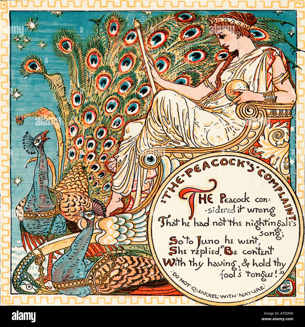 The peacock and the crane hi-res stock photography and images - Alamy