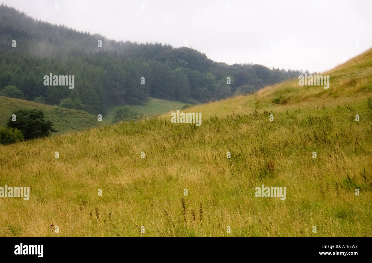 Glendevon hi-res stock photography and images - Alamy