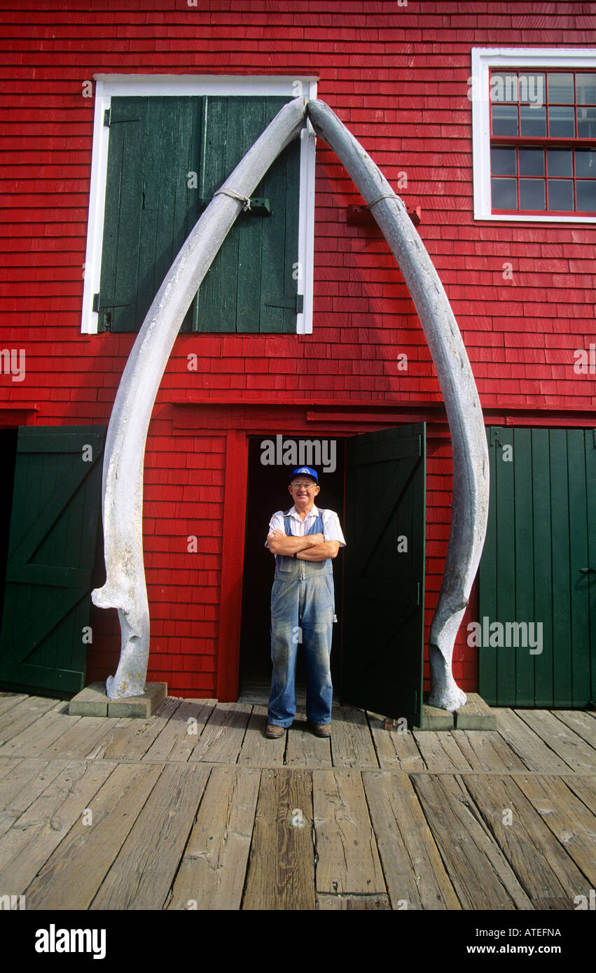 Mr Edward Mosher standing between two gigantic whale bones outside of a ...