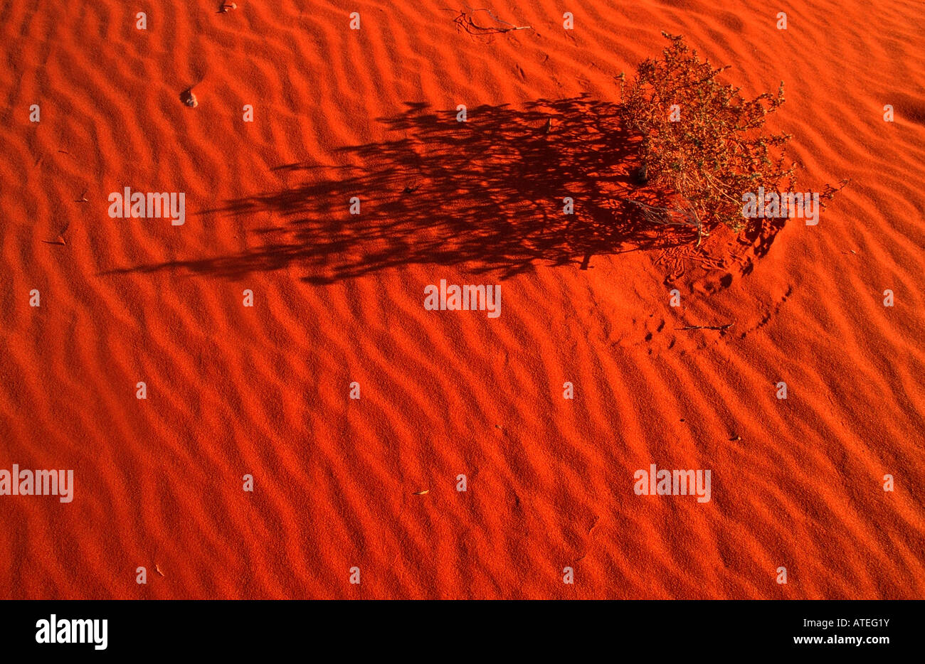 Desert / Wueste Stock Photo - Alamy
