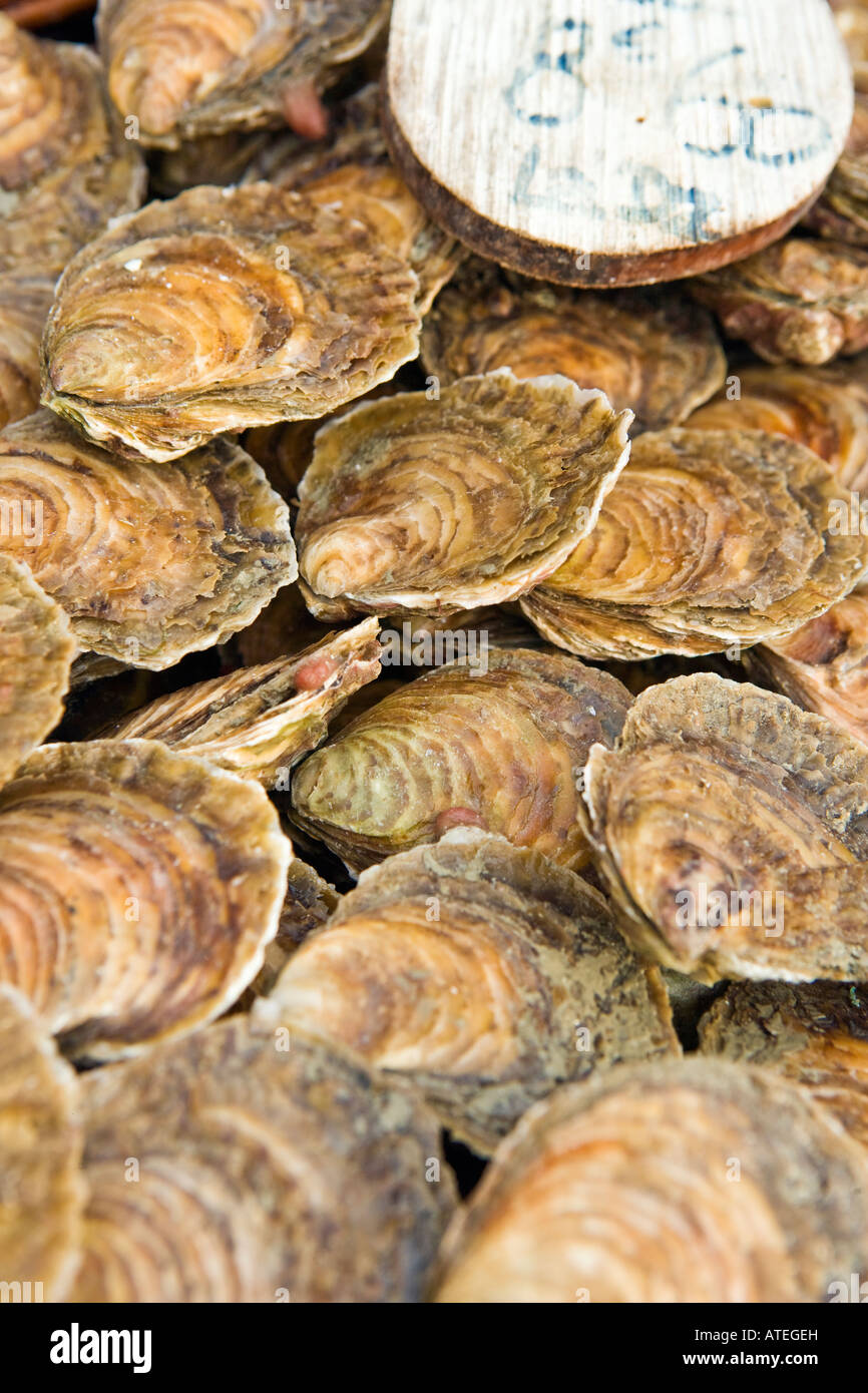 Cancale oysters seafood market tradition famous Stock Photo - Alamy