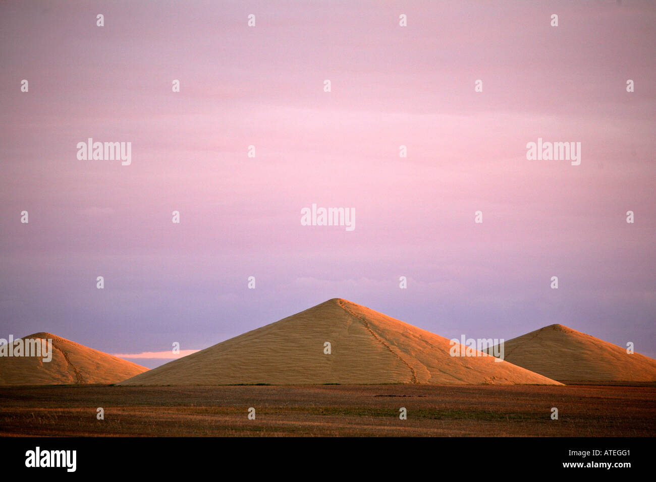 Three large grain piles of grain in field Stock Photo - Alamy