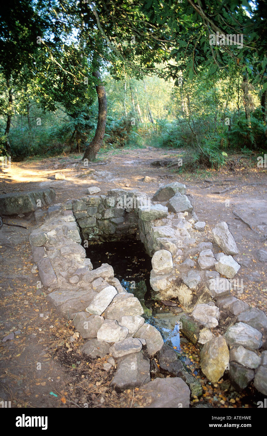 The rocks and water source of Merlin s Fountain in Paimpont Forest the ...