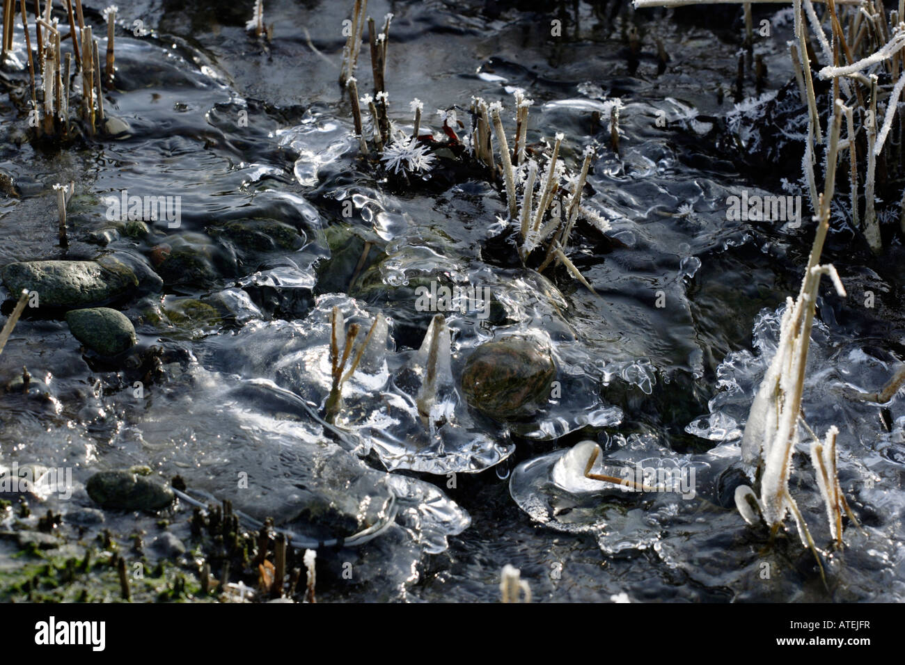 Ice formations in a brook Stock Photo - Alamy