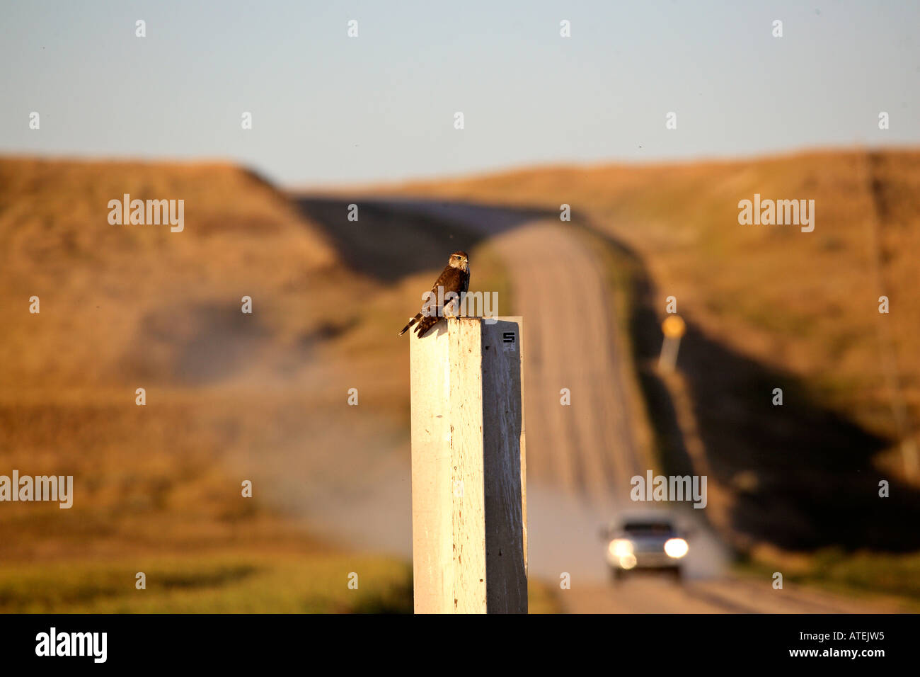 Merlin road hi-res stock photography and images - Alamy
