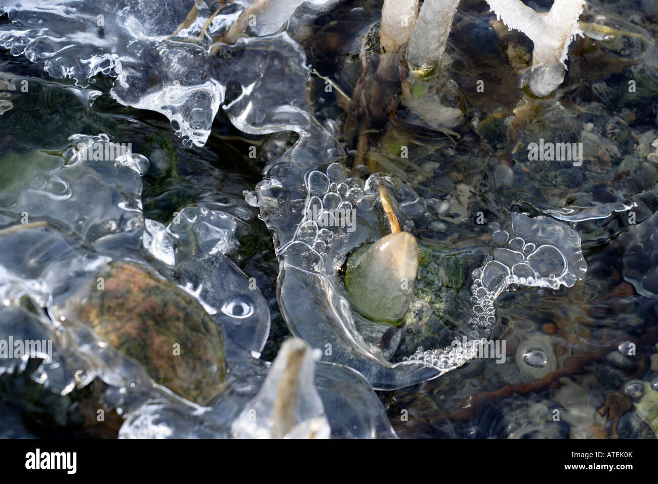 Brooks run with vegetation hi-res stock photography and images - Alamy