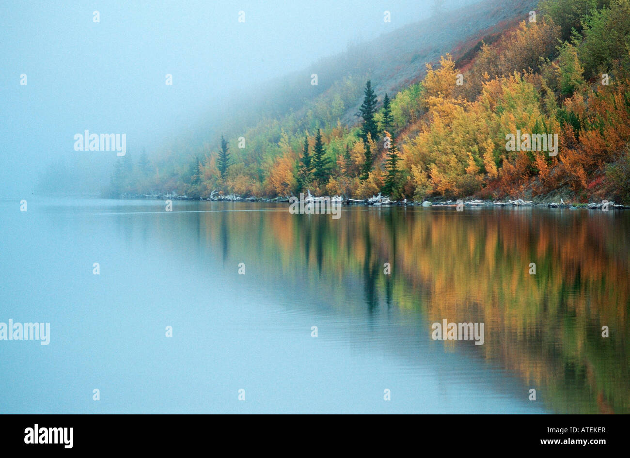 Laberge see hi-res stock photography and images - Alamy