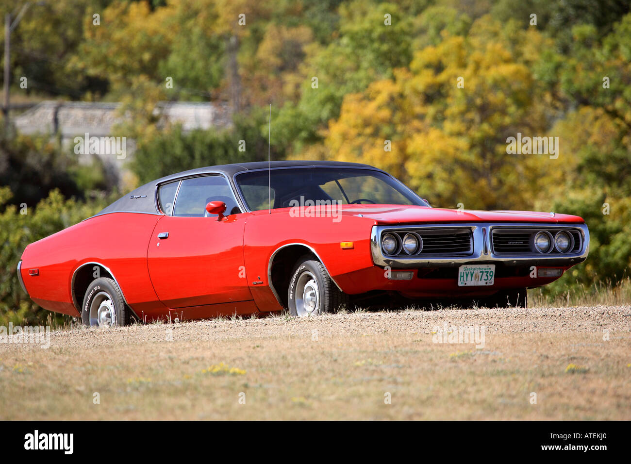 Dodge charger car hi-res stock photography and images - Alamy