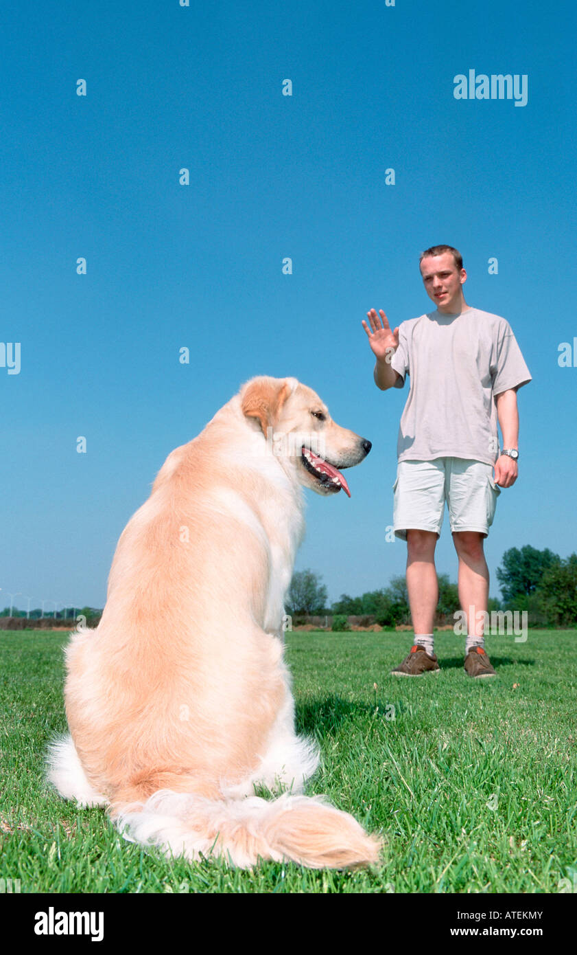 Man with Golden Retriever Stock Photo - Alamy
