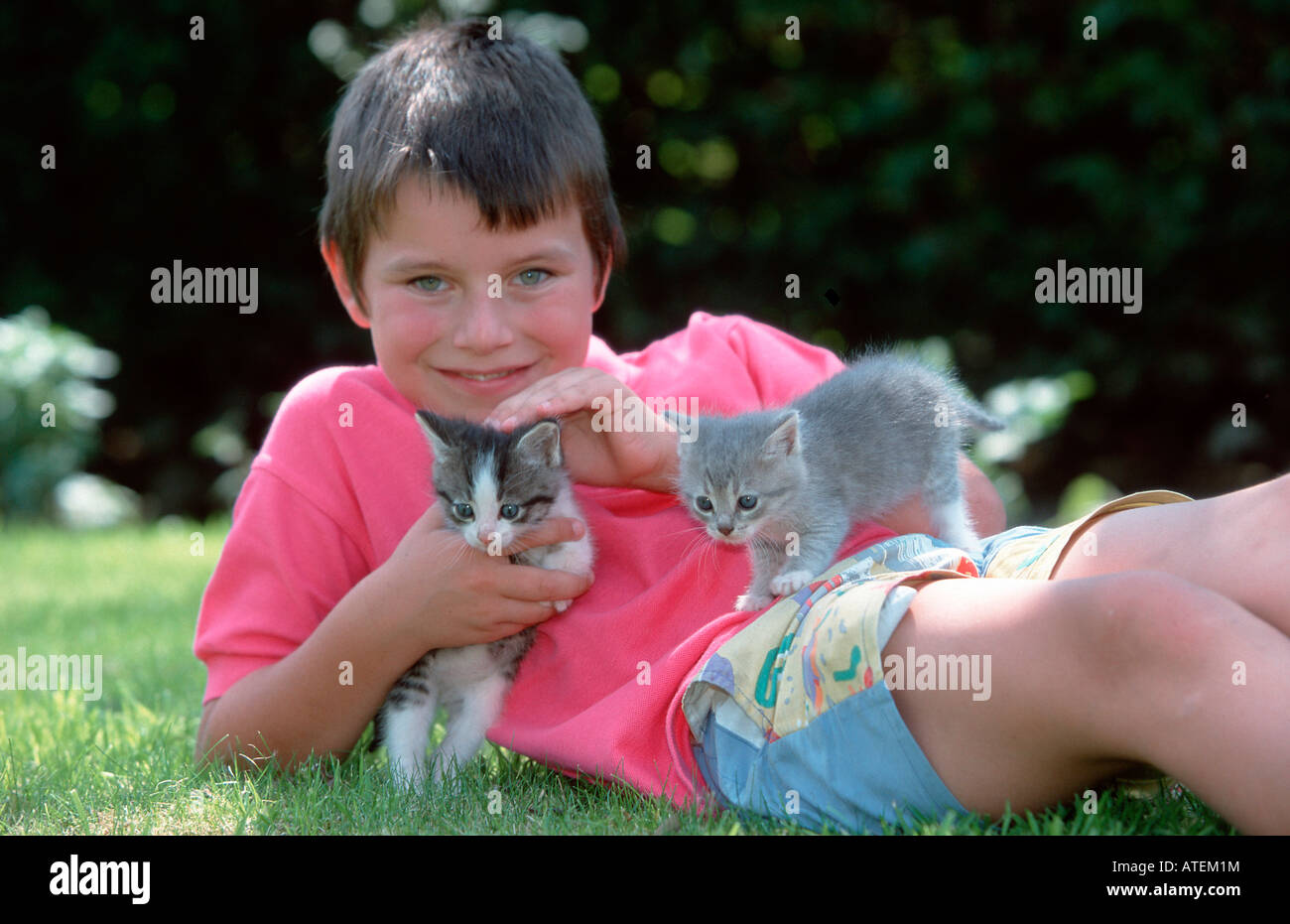 Boy with Domestic Cats Stock Photo - Alamy