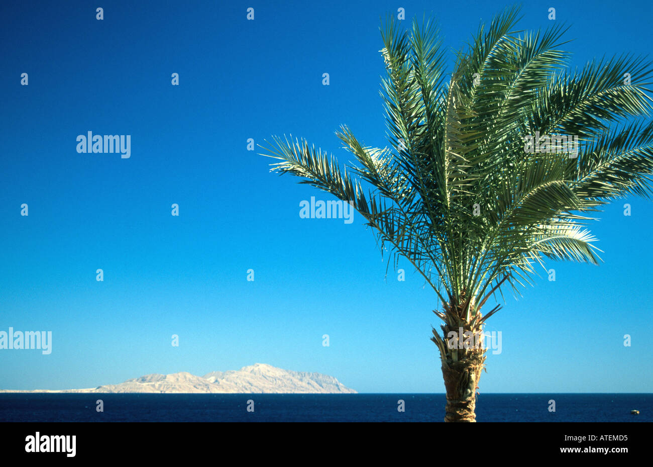 View of Tiran Island Straits of Tiran Gulf of Aqaba from shoreline with ...