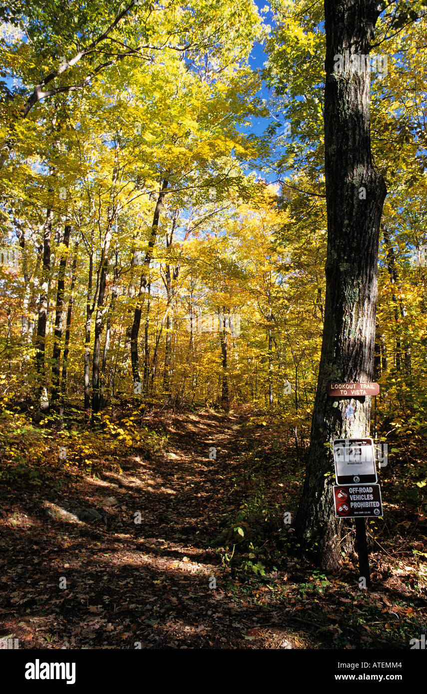 A marker guides the way on the Apalachian trail through the Beartown ...