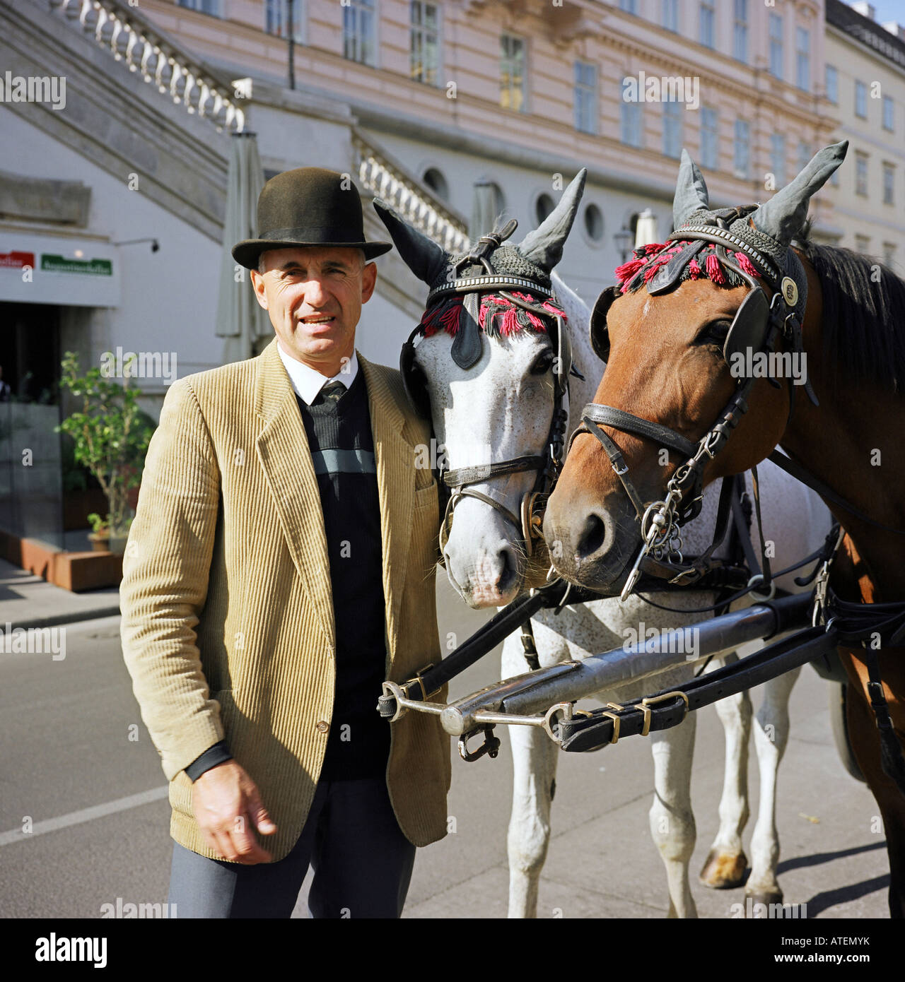 Coachman and his horses, Vienna, Austria Stock Photo - Alamy
