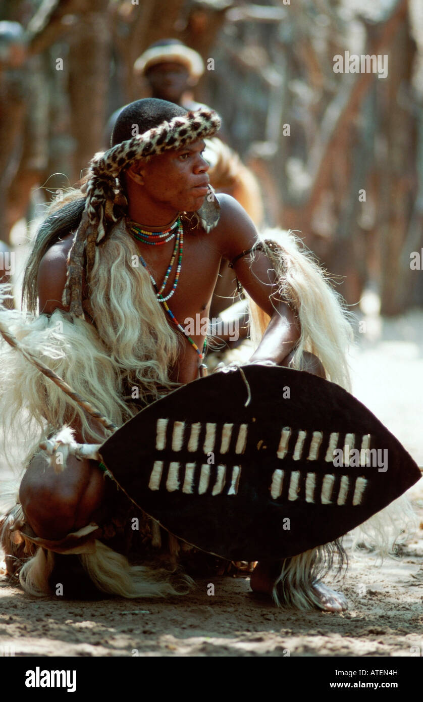 Zulu Warrior / Zulukrieger Stock Photo - Alamy