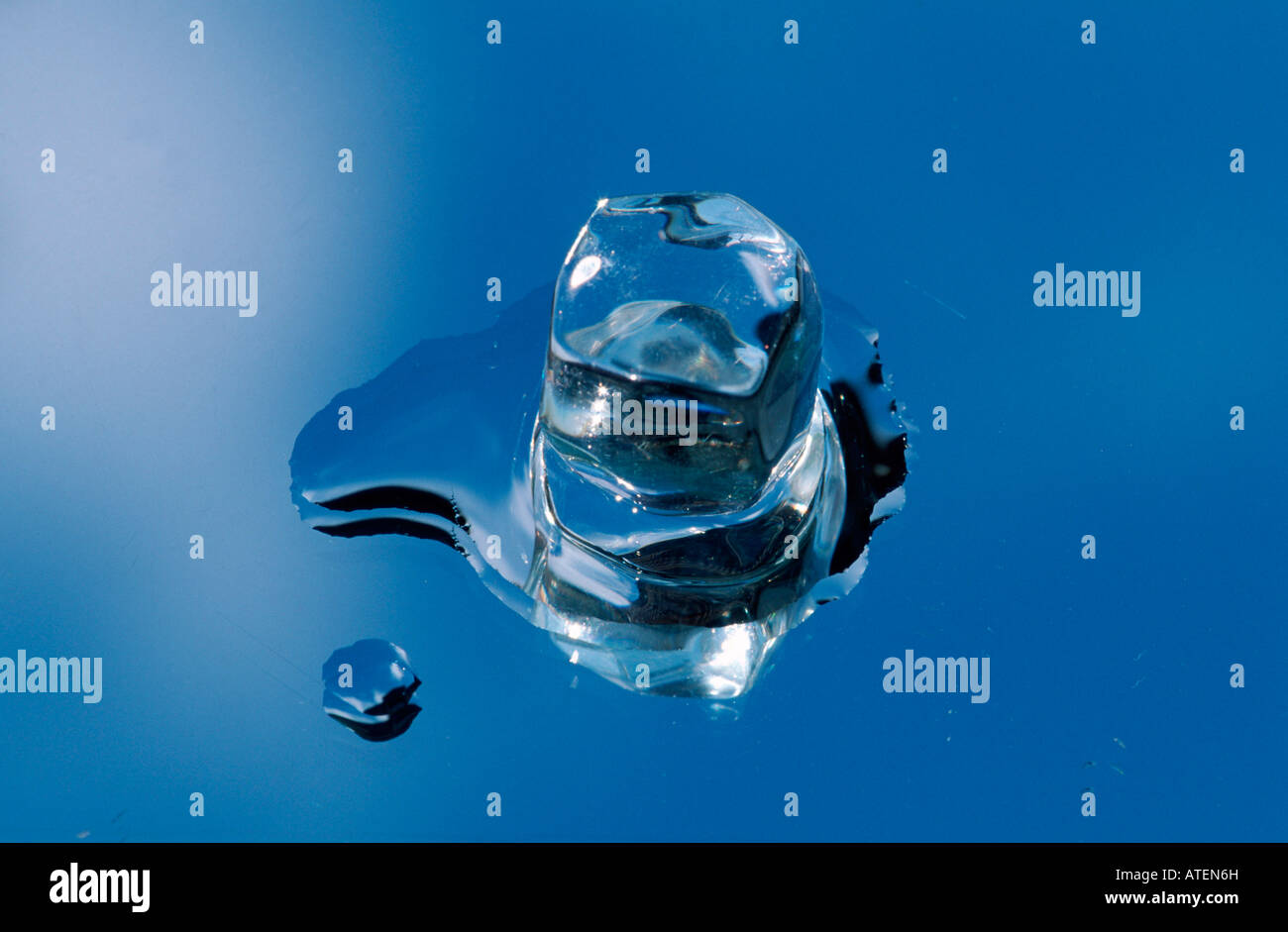 Melting ice cube Stock Photo - Alamy