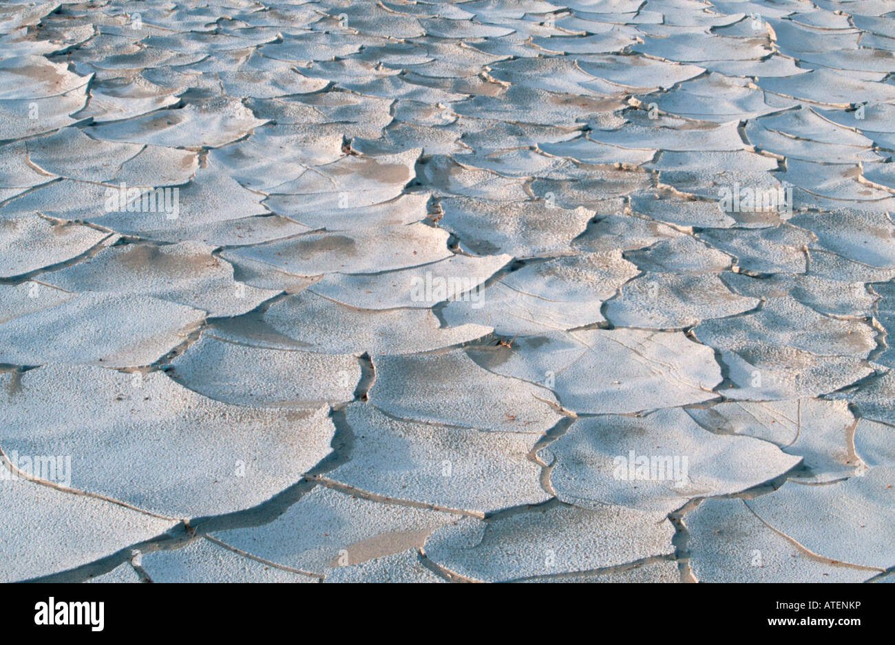 Dried-out Earth / Death Valley Stock Photo - Alamy