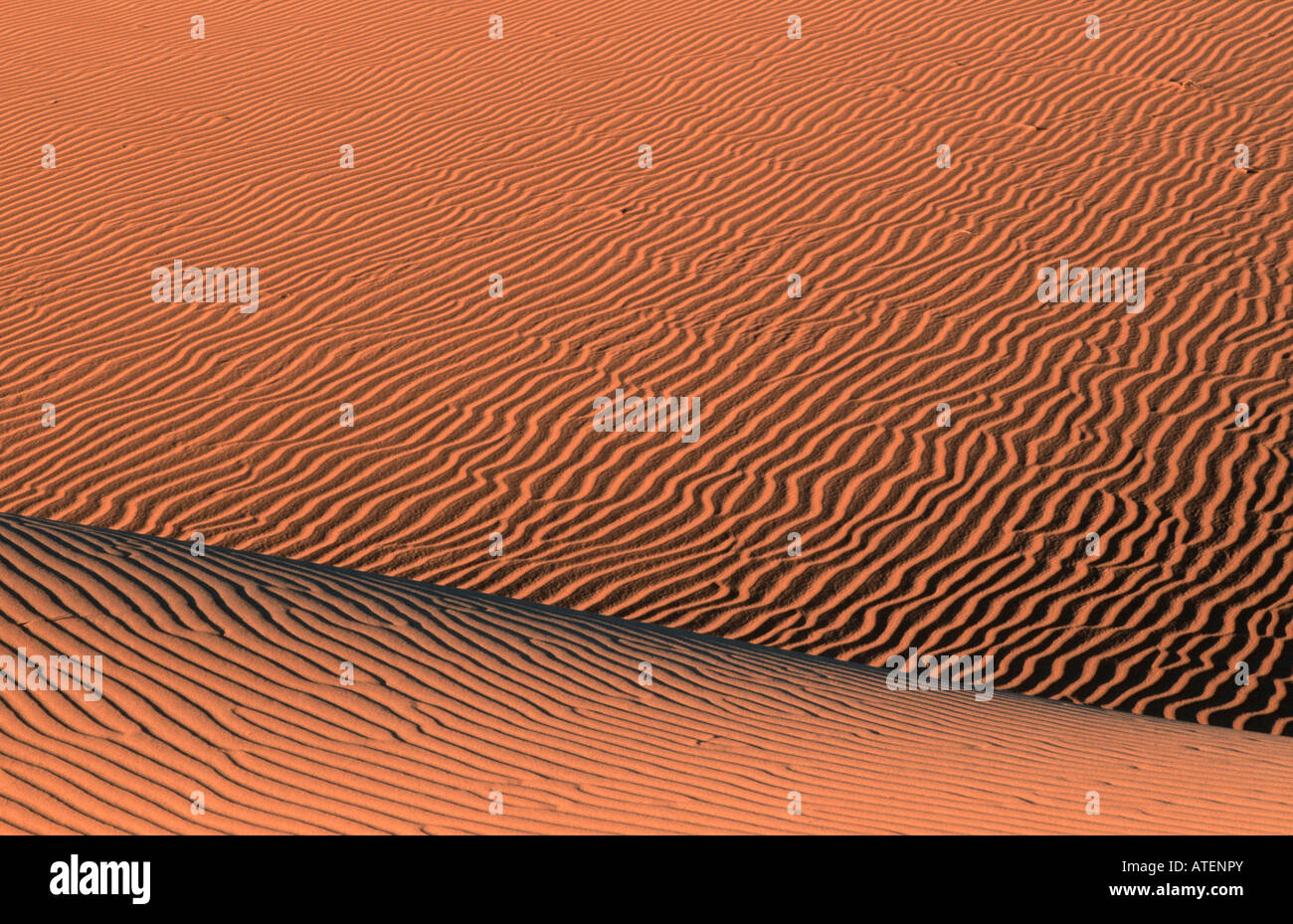 Sand Structures / Sahara Stock Photo - Alamy
