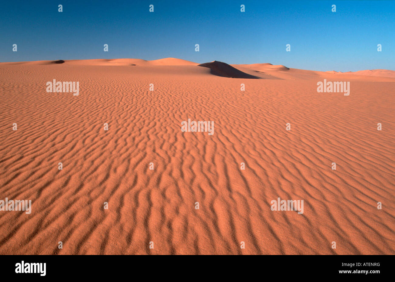 Sand Dunes / Sahara Stock Photo - Alamy