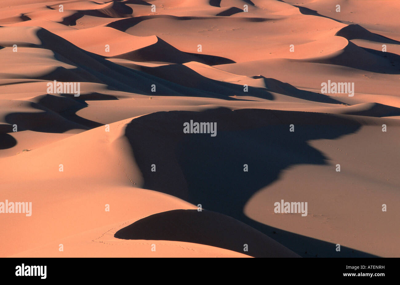 Sand Dunes / Sahara Stock Photo - Alamy