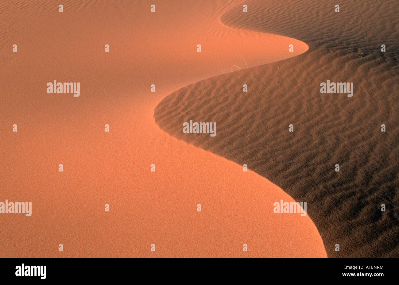 Sand Dunes / Sahara Stock Photo - Alamy