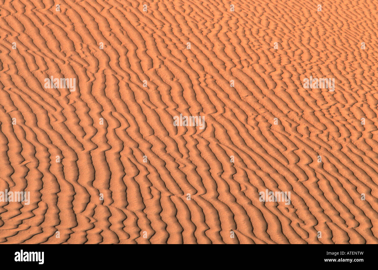 Sand Structures / Sahara Stock Photo - Alamy