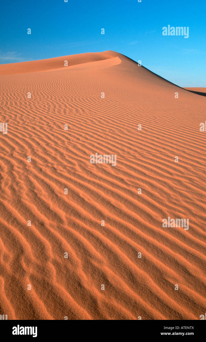 Sand Dunes / Sahara Stock Photo - Alamy